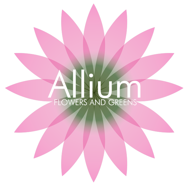 Allium Flowers and Greens